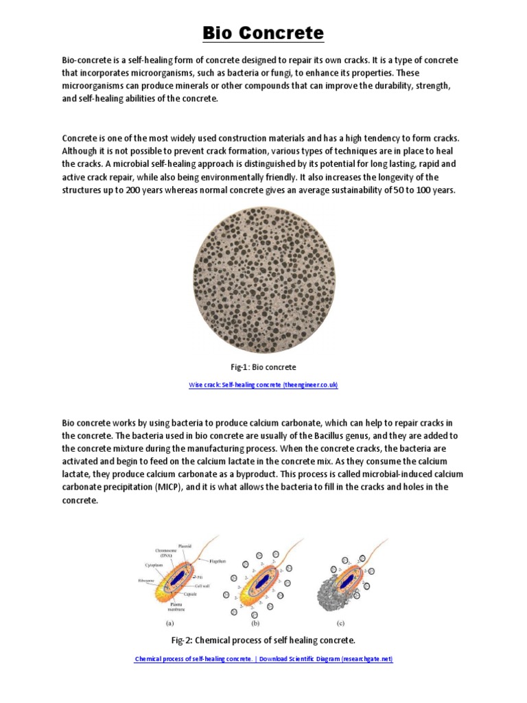 Bio Concrete | PDF | Concrete | Materials