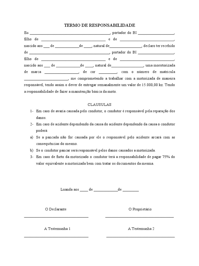 TERMO DE RESPONSABILIDADE | PDF