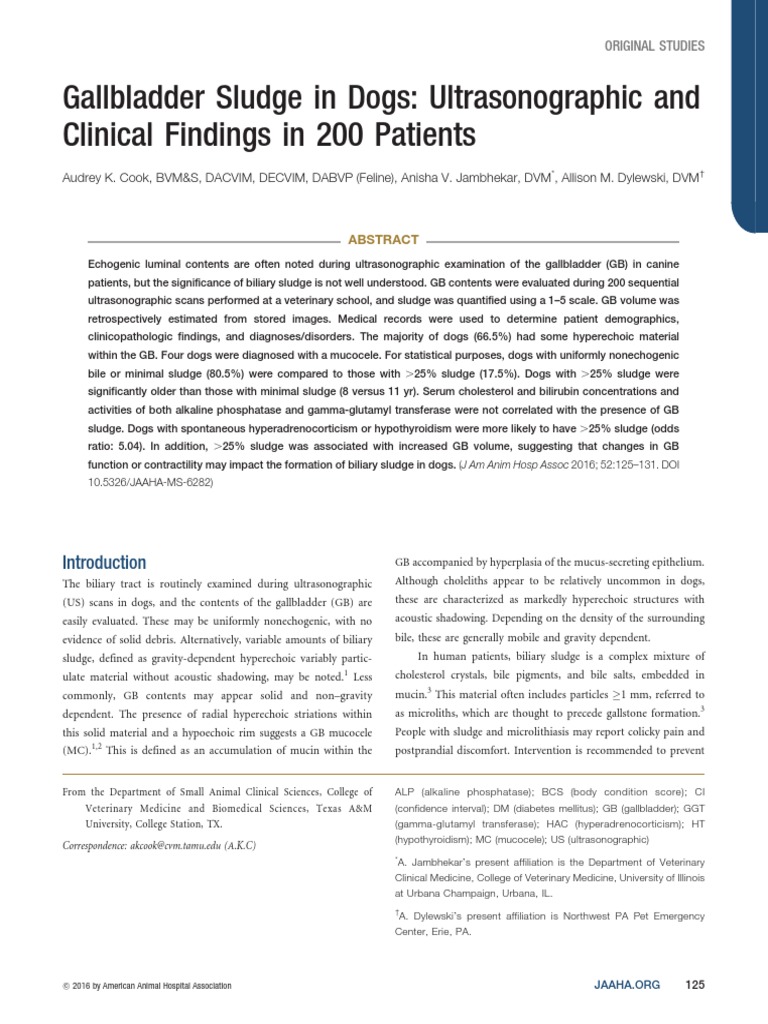 Veterinary Study on Canine Gallbladder | PDF | Bile | Gallbladder