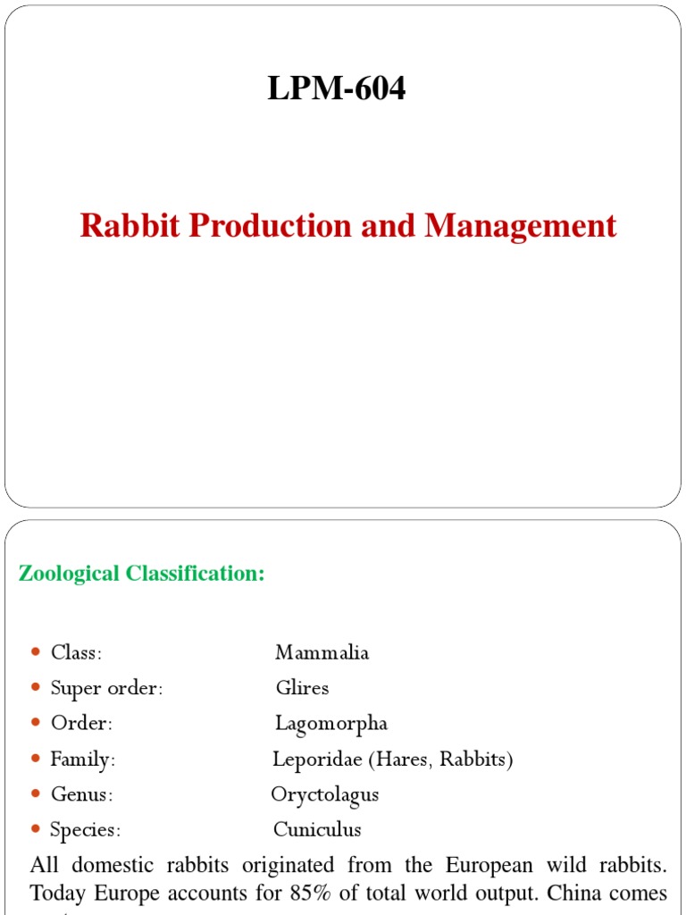 LPM-604 - Rabbit Production and Management | PDF
