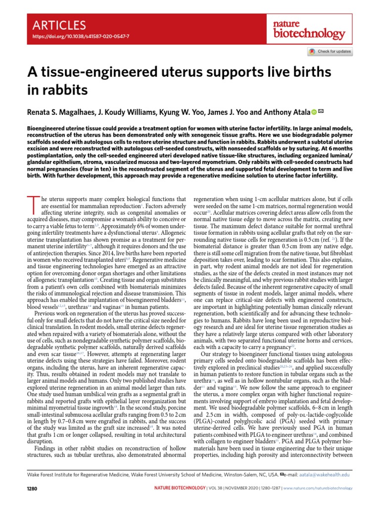 A Tissue Engineered Uterus Supports Live Births In Rabbits Pdf