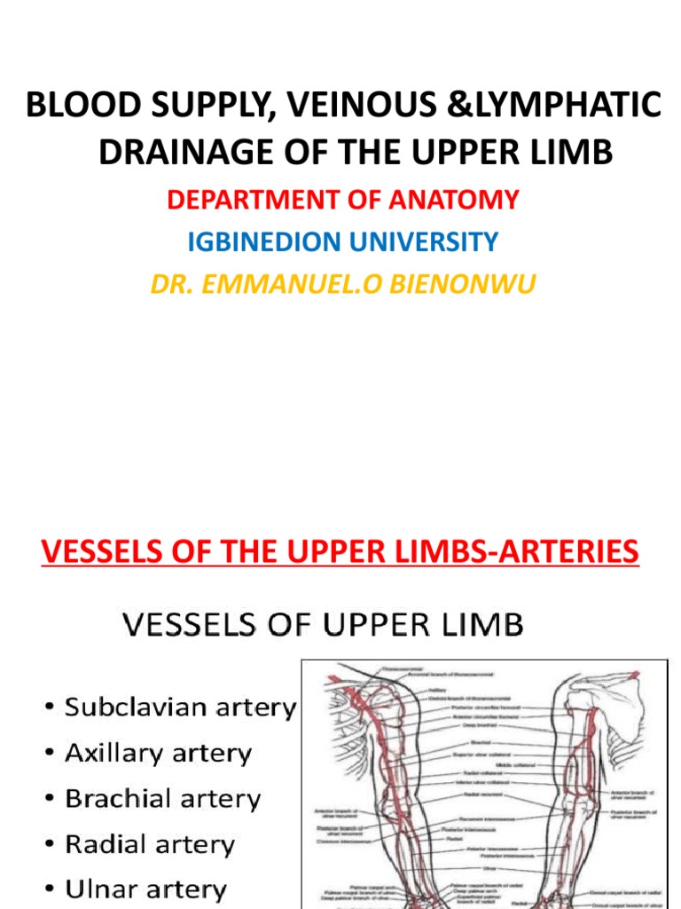 Blood Supply, Veinous and Lymphatic Drainage of The Upper Limb..2, Dr ...