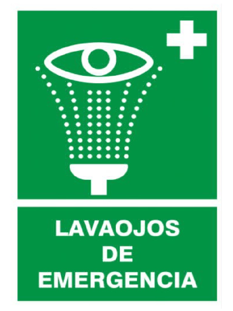 LAVAOJOS | PDF