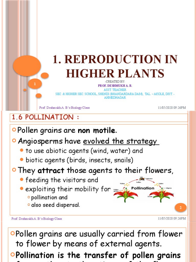 1.6 Pollination | PDF | Flowers | Pollination