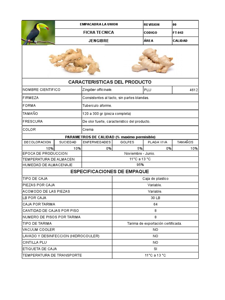 Ficha Tecnica Jengibre Tucan | PDF