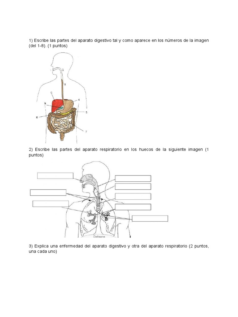 Examen ESPA Naturales Tema 3 | PDF