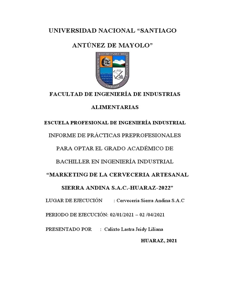 Calixto Lastra Jeidy Liliana Informe Avance | PDF | Marketing | Cerveza