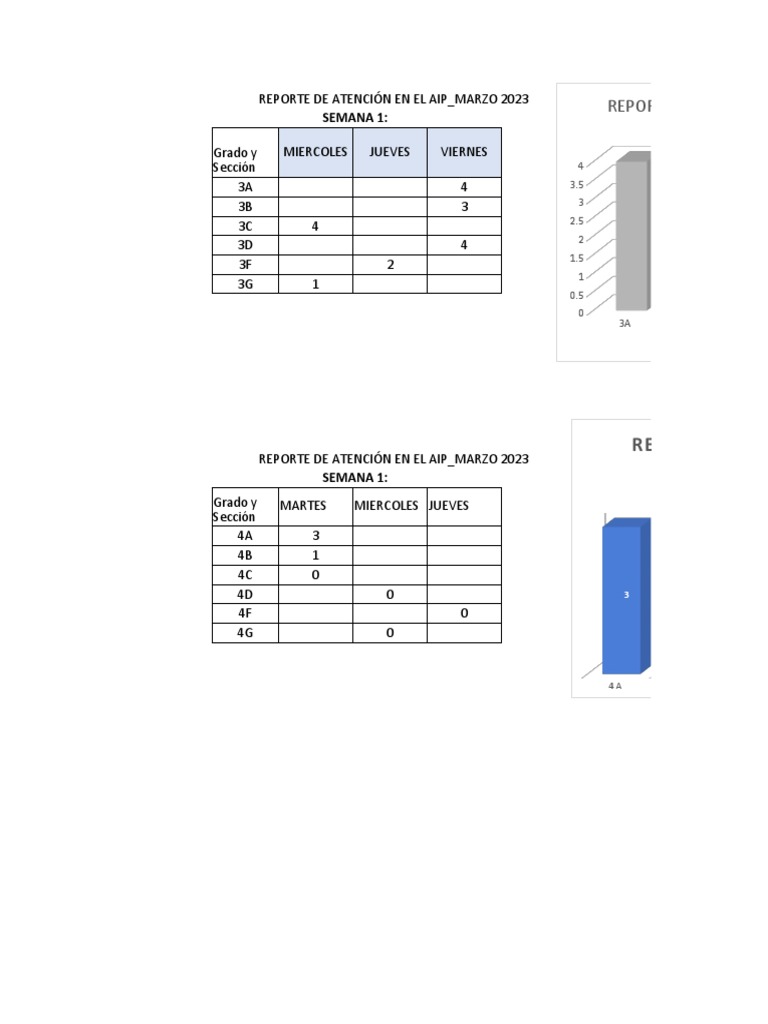 Reporte de Atención AIP Marzo 2023 | PDF