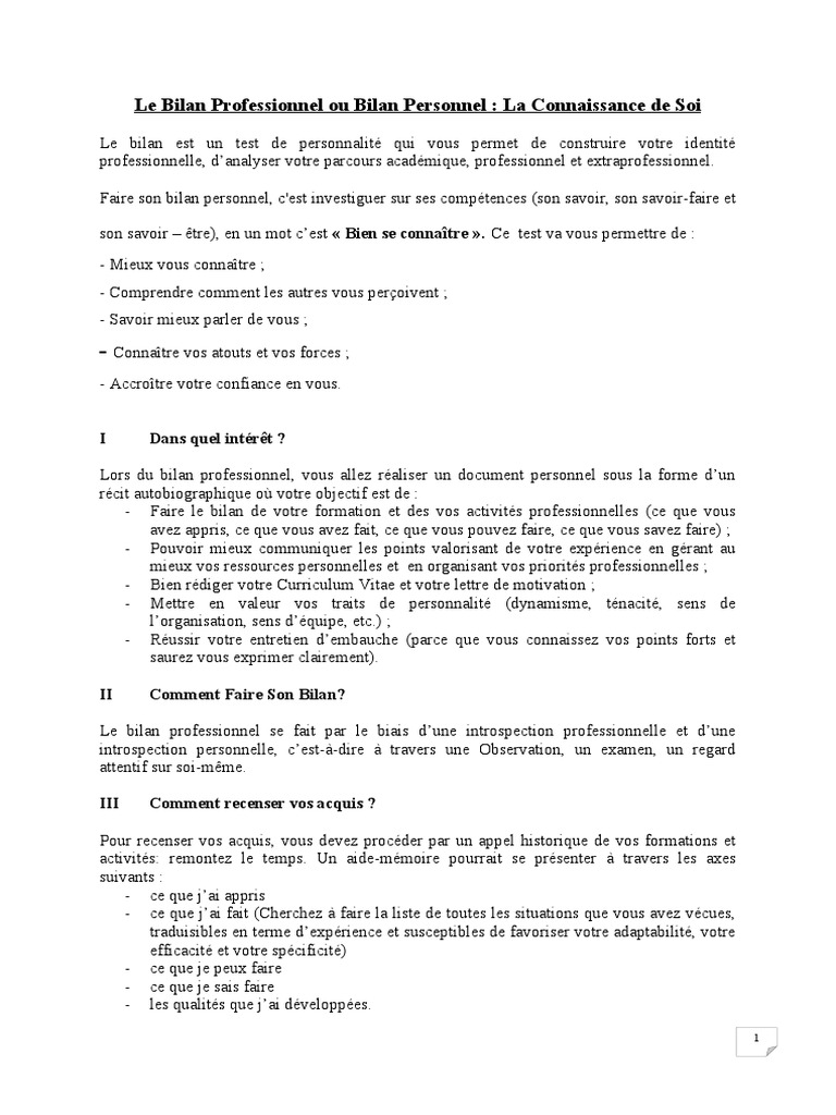 Le Bilan Professionnel Ou Bilan Personnel | PDF | Expérience ...