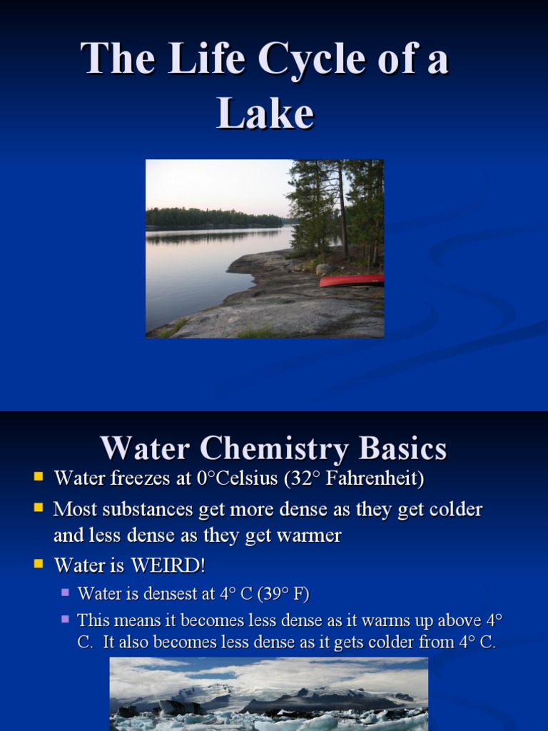 The Life Cycle of A Lake | PDF | Lake | Eutrophication