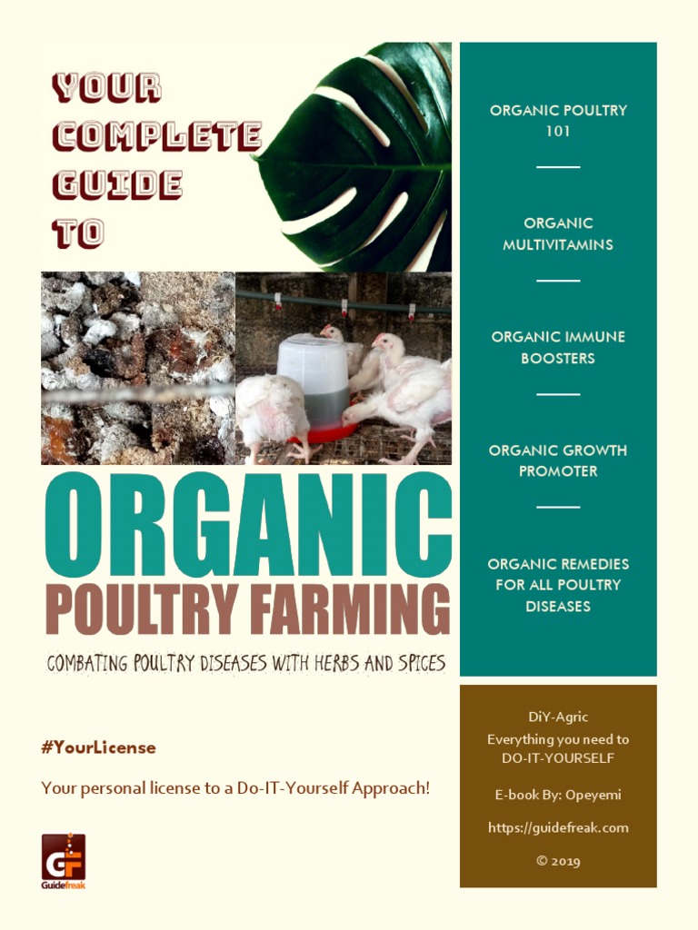 Organic Poultry | PDF | Poultry Farming | Poultry