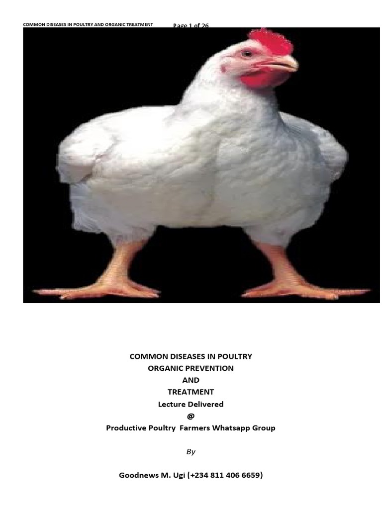 Common Diseases in Poultry, Organic Prevention and Treatment-1 | PDF ...