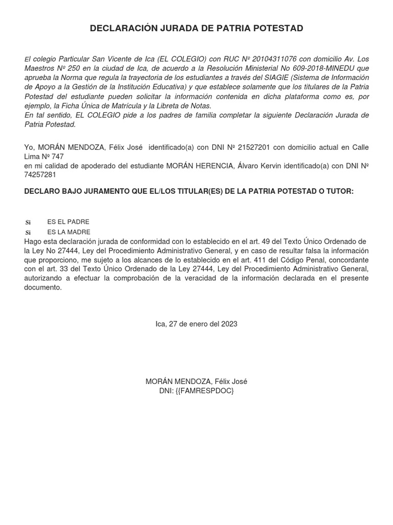 Declaración Jurada de Patria Potestad - 2023 | PDF