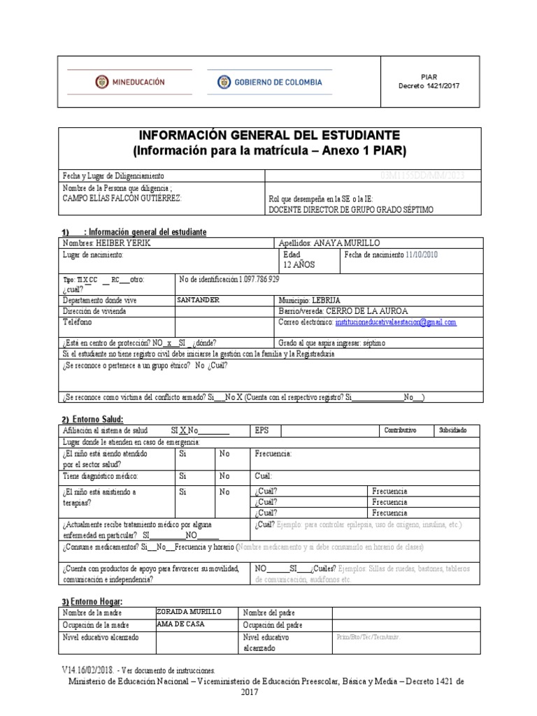 Formato-PIAR Trabajado | PDF