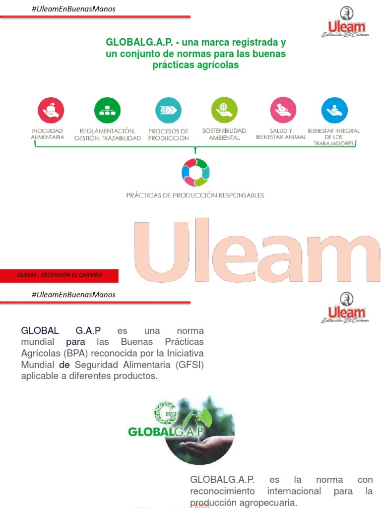 Global Gap | PDF | Auditoría | Agricultura