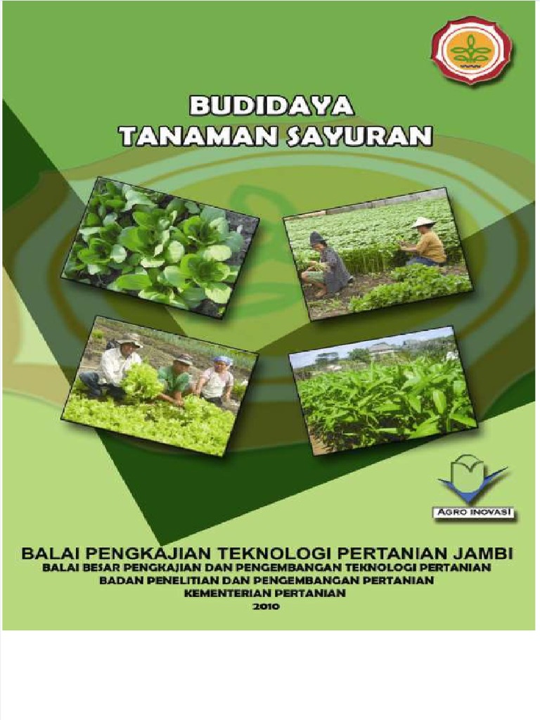Panduan Budidaya Tanaman Sayuran | PDF | Griya & Taman