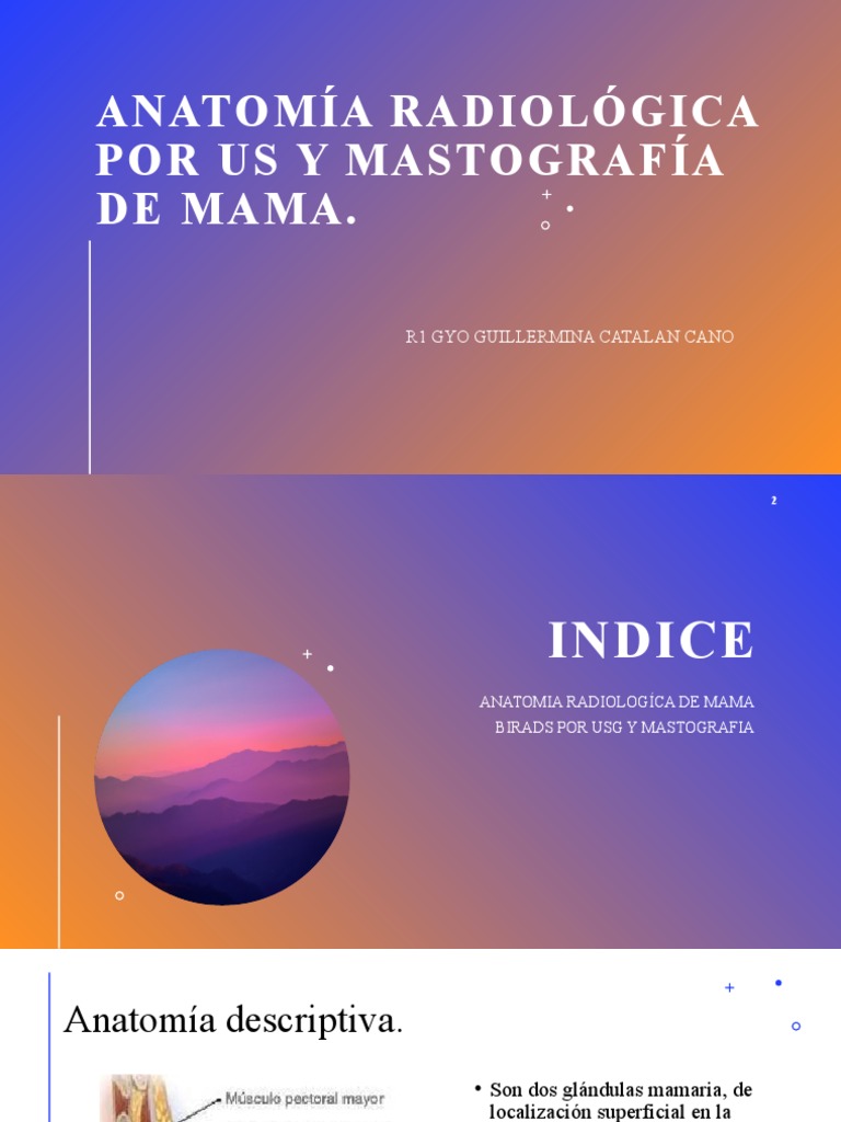 Anatomia RX X Usg y Mastografia de Mama | PDF