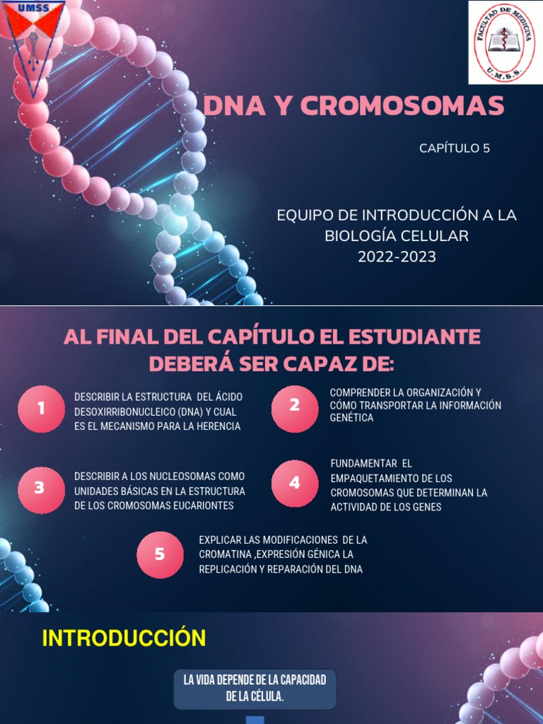 Cap. 5 DNA y Cromosomas | PDF | Cromatina | Adn
