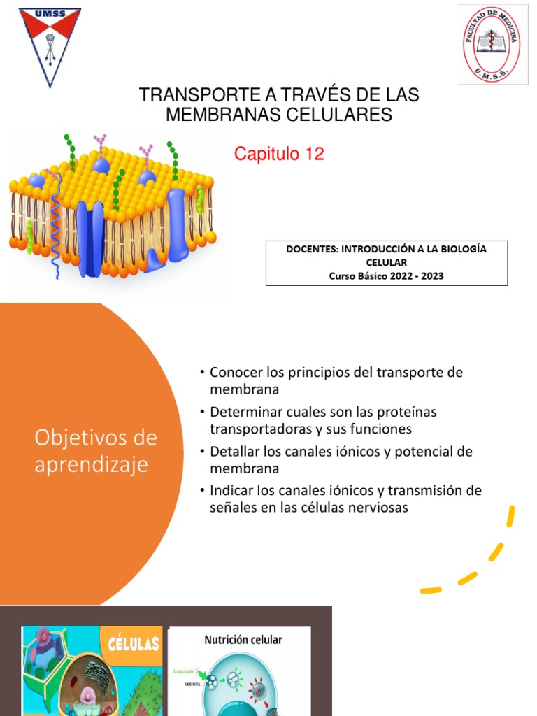Cap. 12 Transporte A Través de Las Membranas Celulares | PDF | Neurona | Potencial de acción