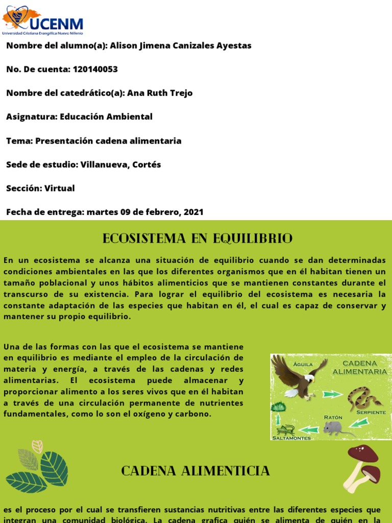 Presentación Cadena Alimentaria | PDF | Red alimentaria | Organismos