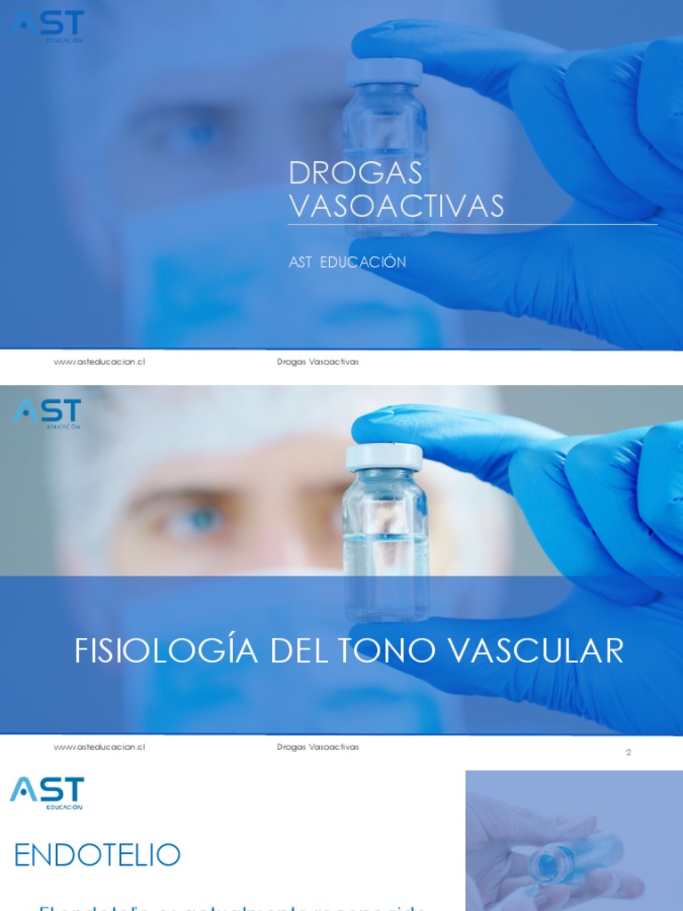Regulación del Tono Vascular y Endotelio | PDF | Endotelio | Óxido nítrico