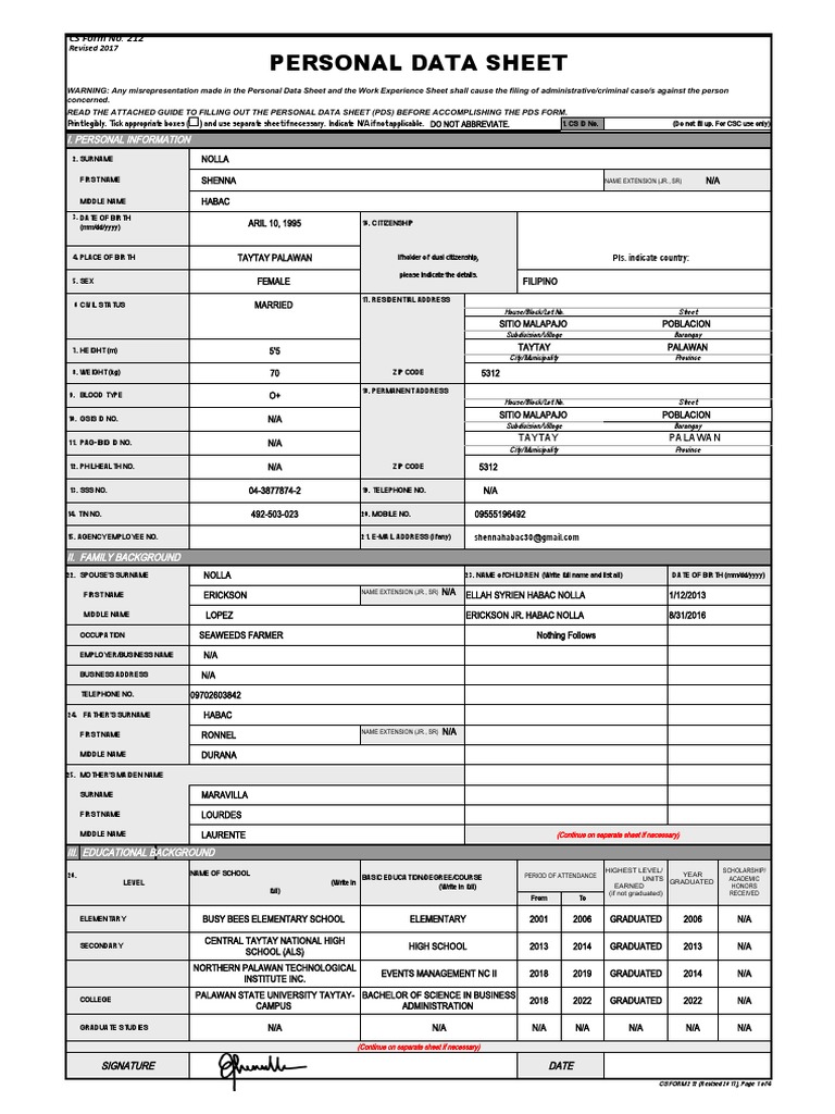 Personal Data Sheet Template | PDF | Government | Justice