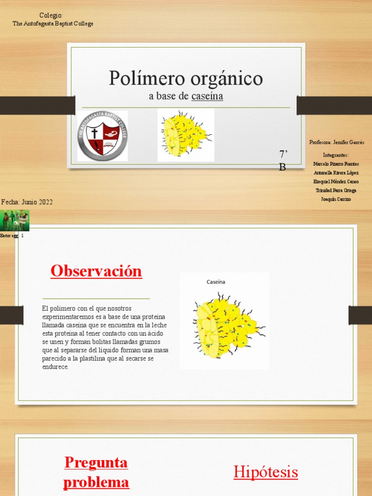 Polimero_organico | PDF | Lechería | Nutrición