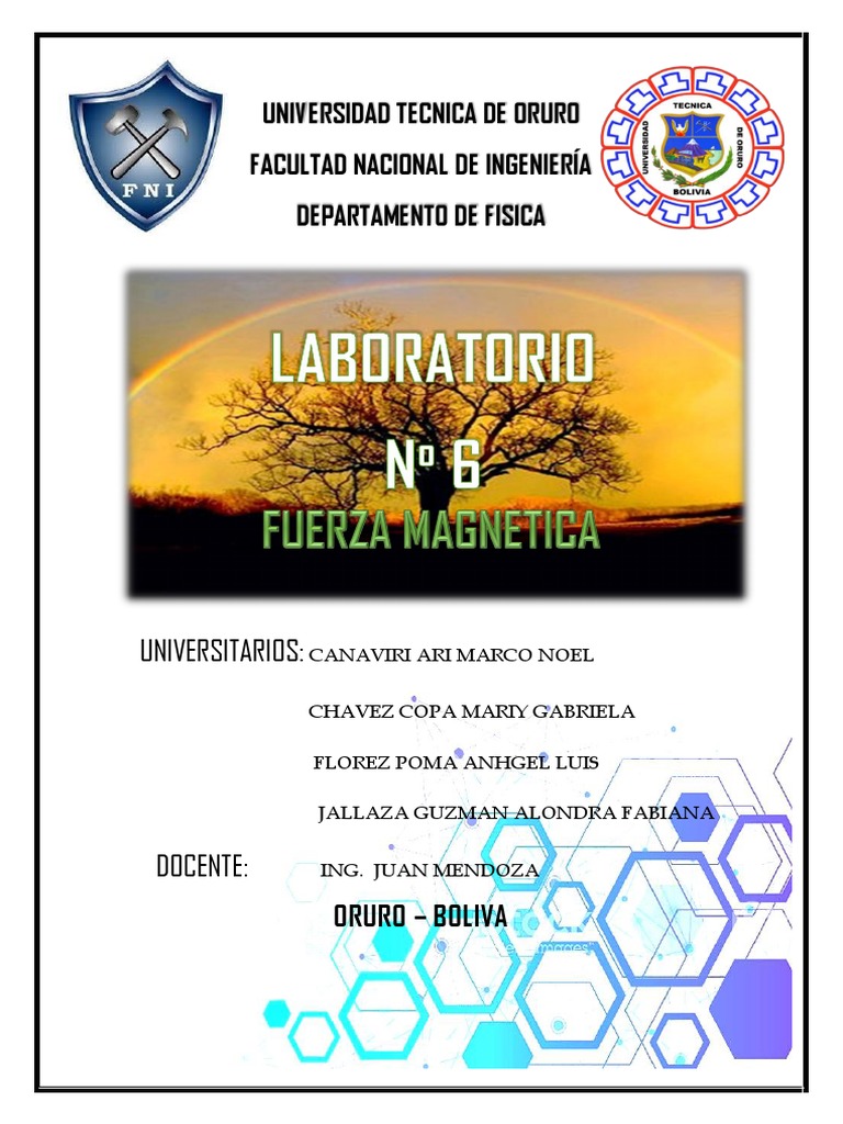 Lab Fuerza Magnetica | PDF | Campo magnético | Corriente eléctrica