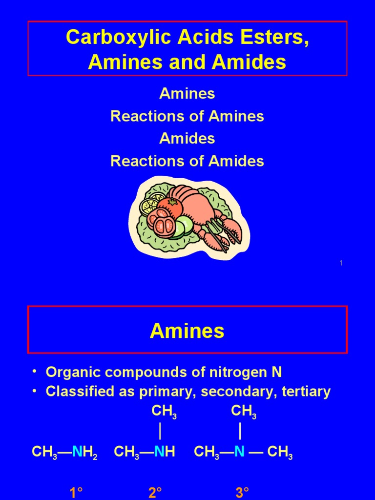Amines and Amides: Reactions and Naming | PDF | Amide | Amine