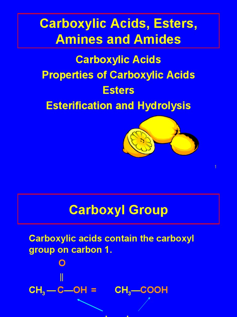 Carboxylic Acids and Esters | Ester | Carboxylic Acid