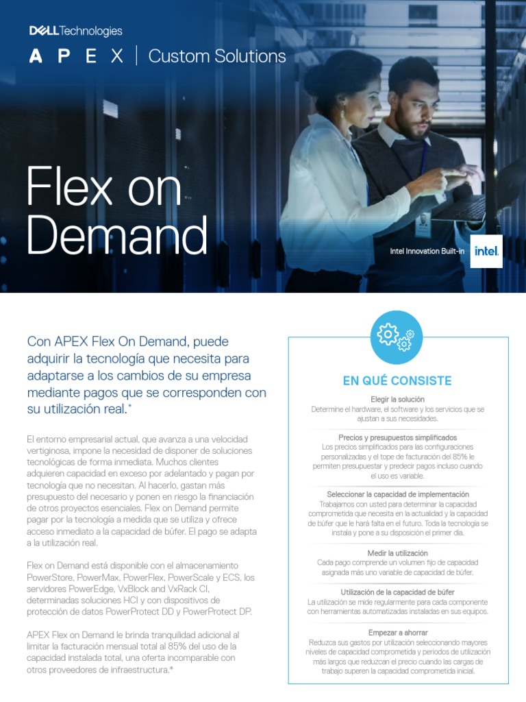 Flex On Demand | PDF | Almacenador intermediario de datos | Presupuesto