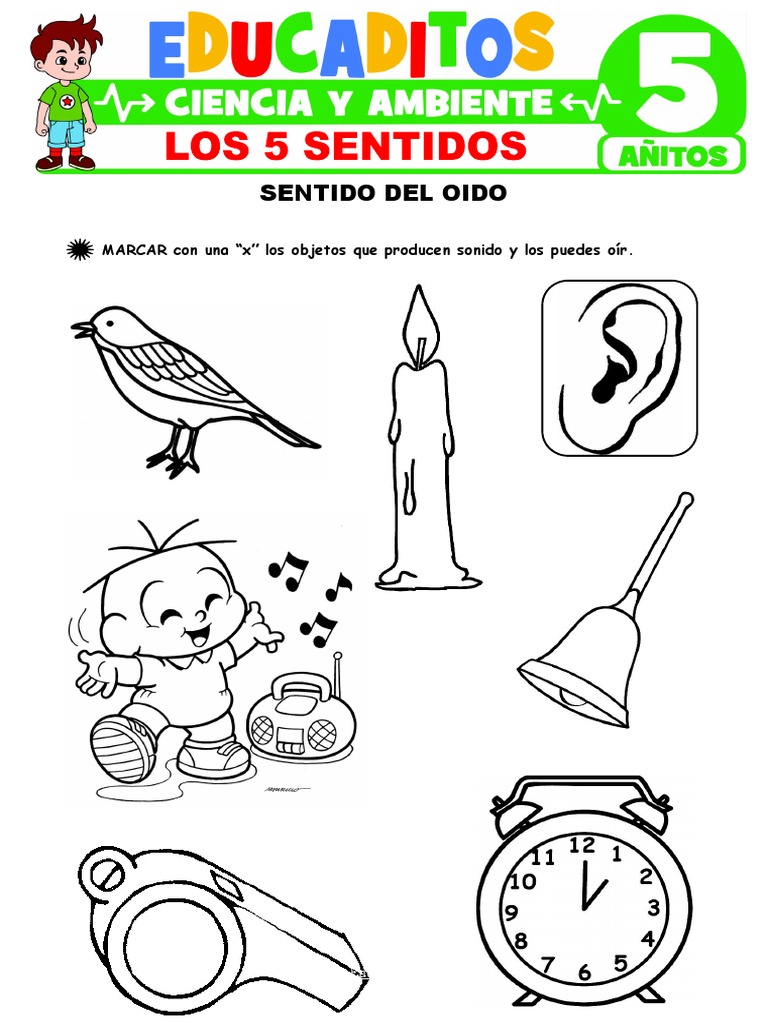 Los 5 Sentidos para Ninos de 5 Anos | PDF