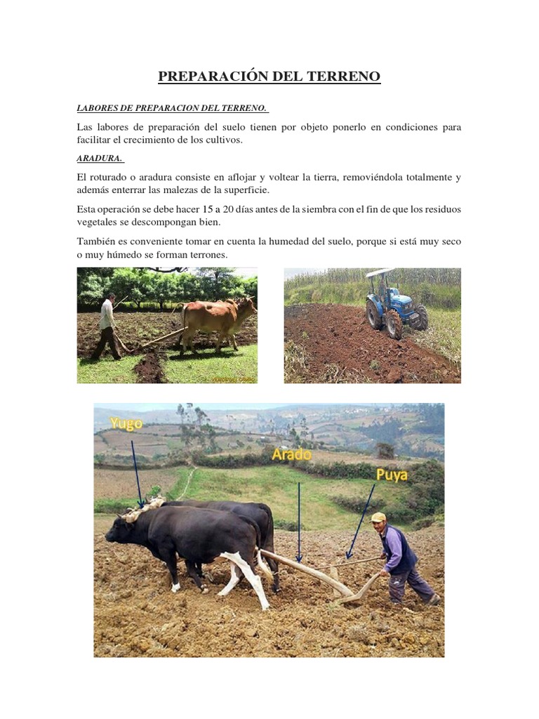 Preparación Del Terreno | PDF | Hogar, jardinería y bricolaje | Ciencia ...