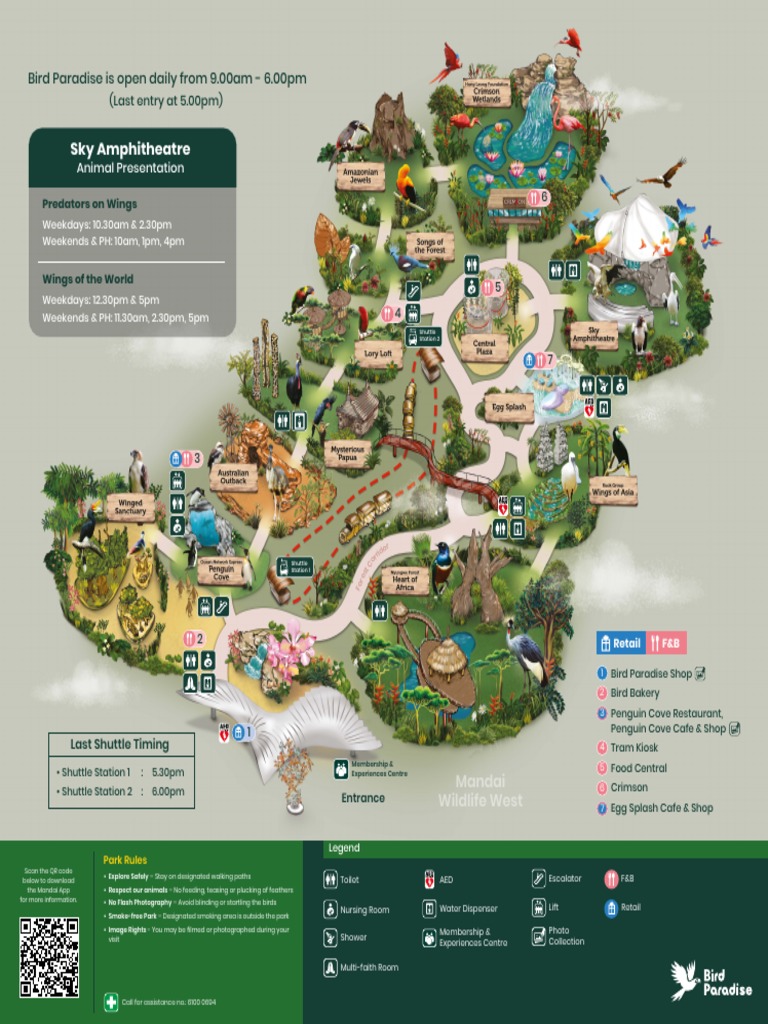 Bird Paradise | PDF | Birds | Ornithology