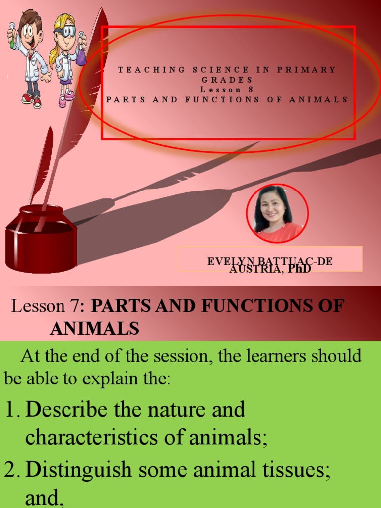 Lesson 8 Parts and Functions of Animals | PDF
