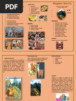 Triptico de Cusco | PDF | Andes | Perú