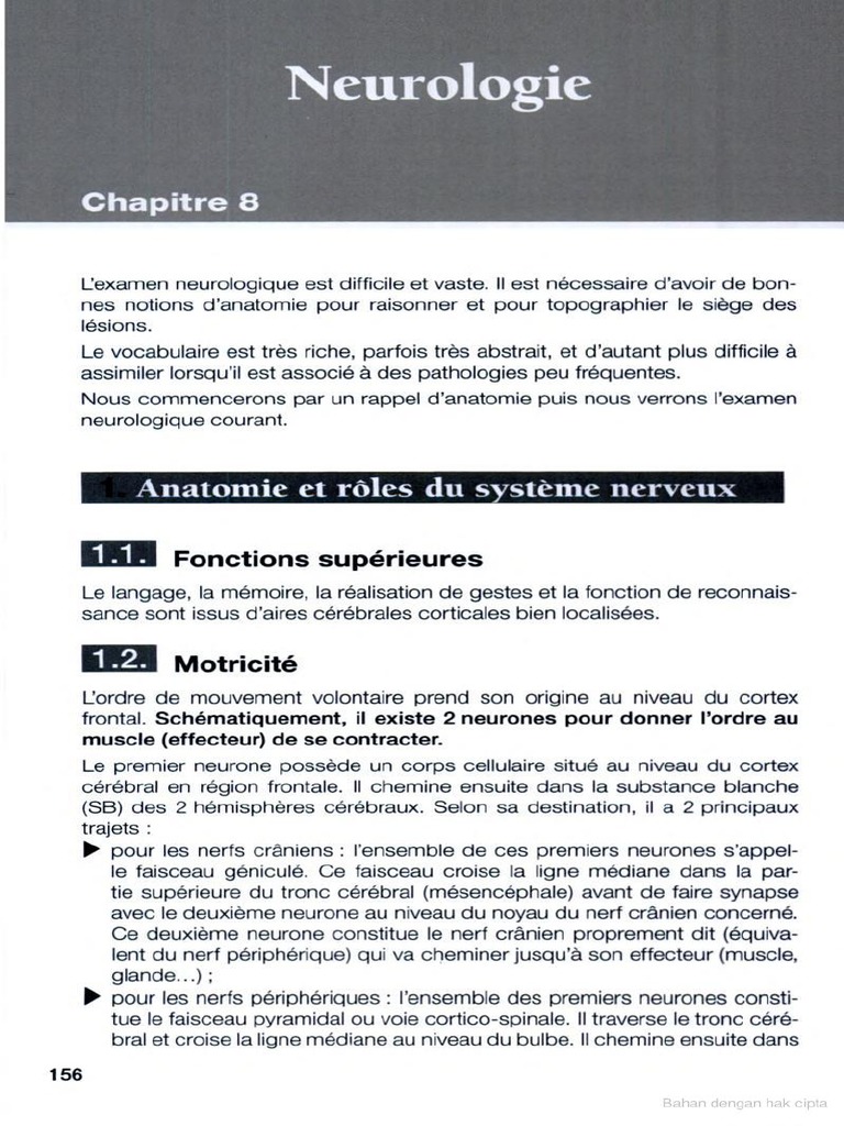 08 Neurologie | PDF