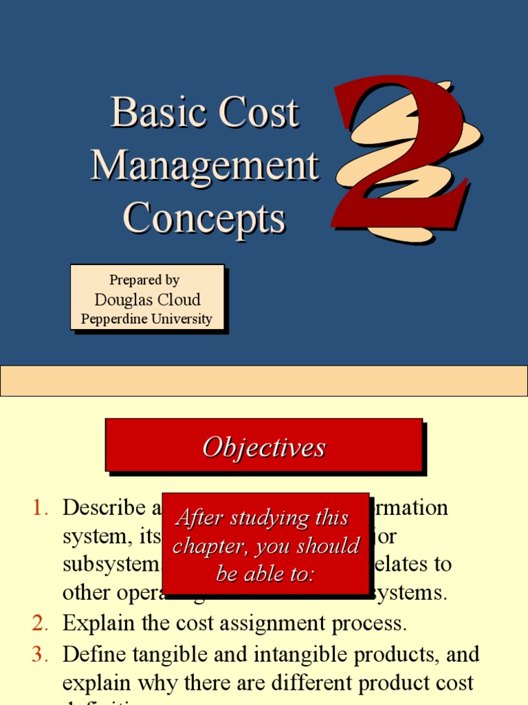 Cost Management Essentials | PDF | Cost | System