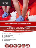 algoritmo-rcp-AHA 2022 | PDF
