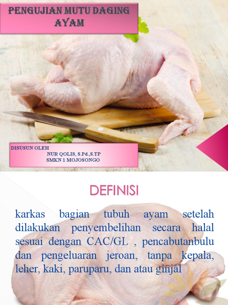 Pengujian Mutu Daging Ayam | PDF