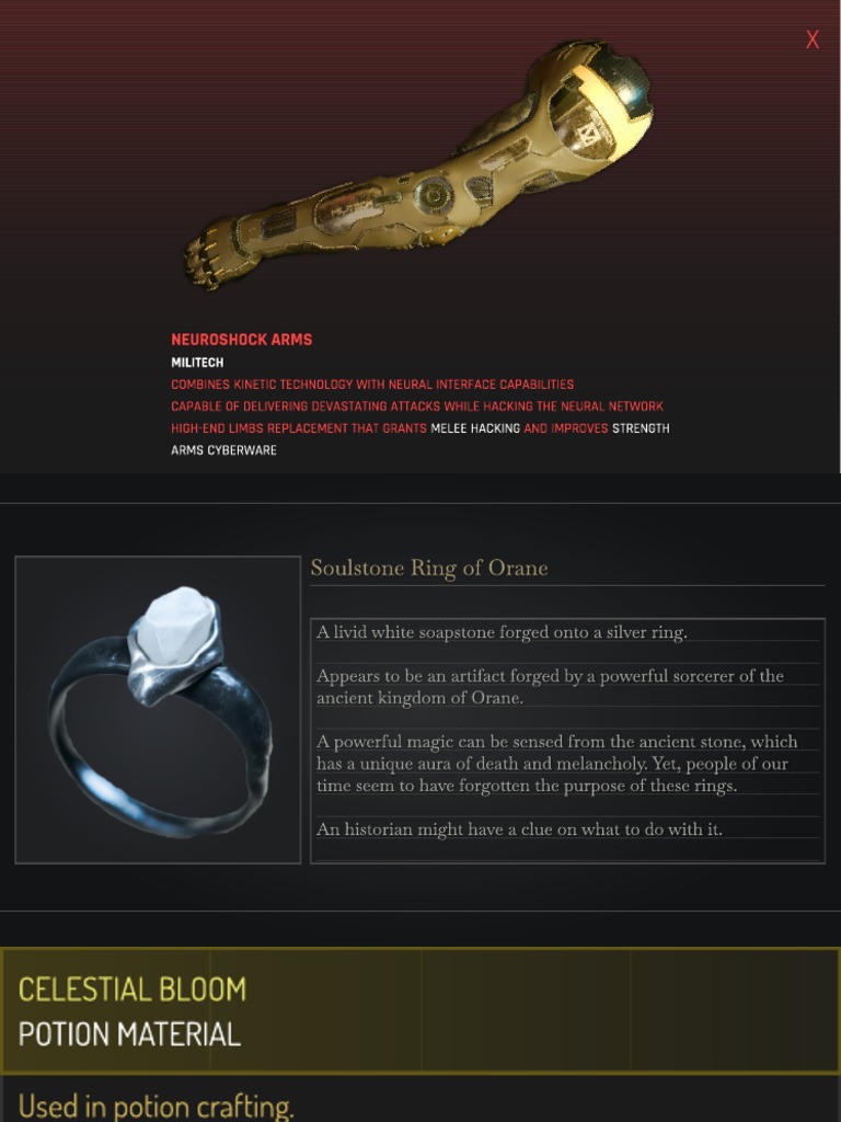Items Descriptions | PDF | Social Science
