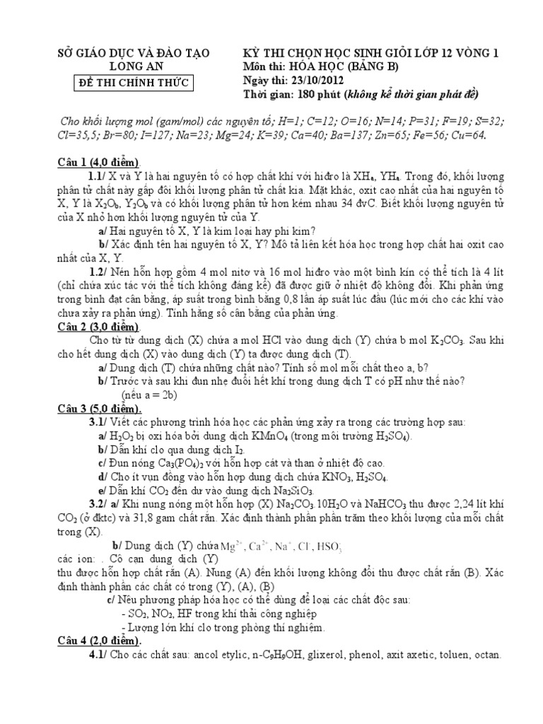 Dethi HSG L12V1 B LongAn 2012 2013 Hoa | PDF