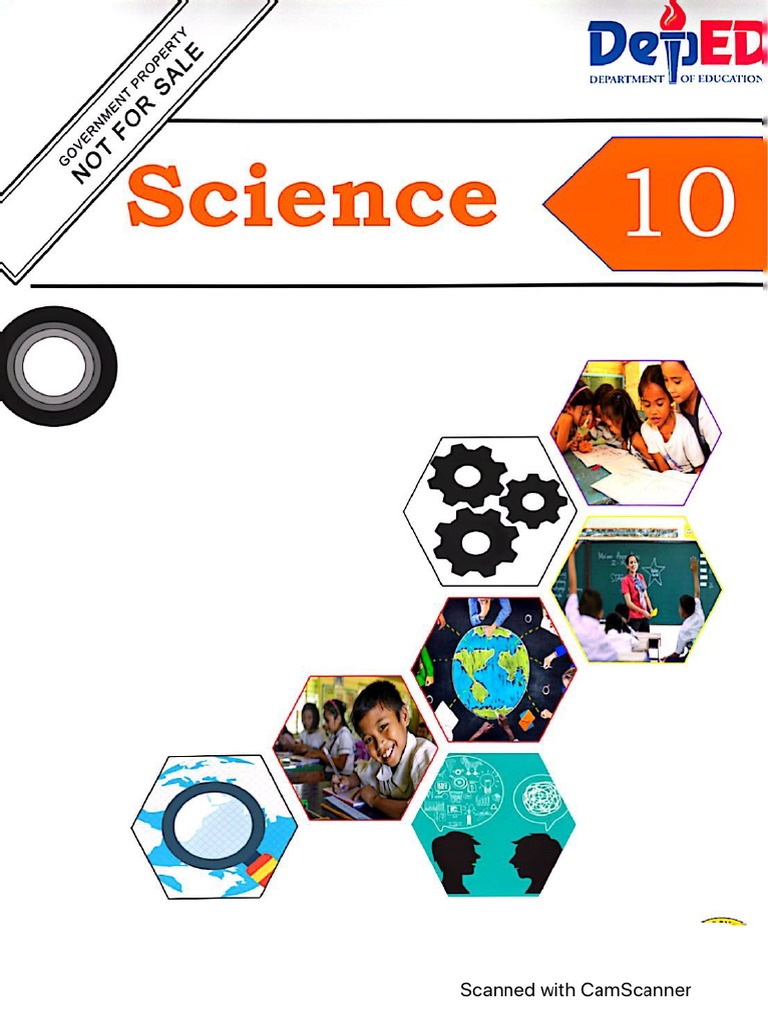 Types of Chemical Reaction | PDF