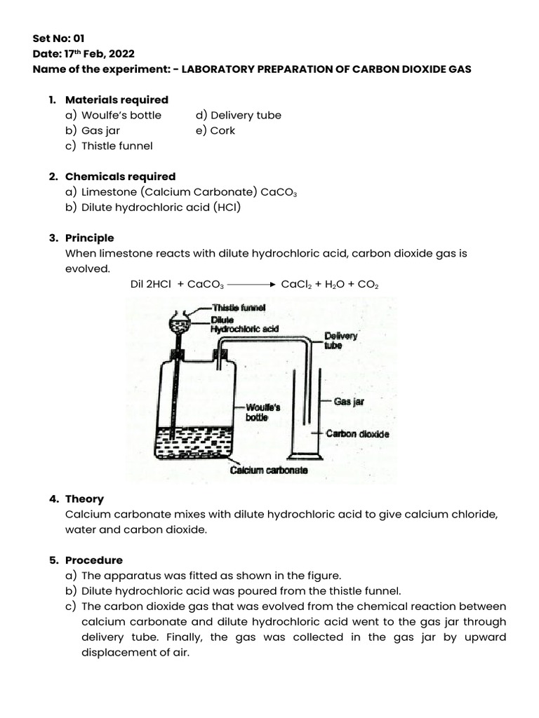 Carbon Dioxide Gas | PDF