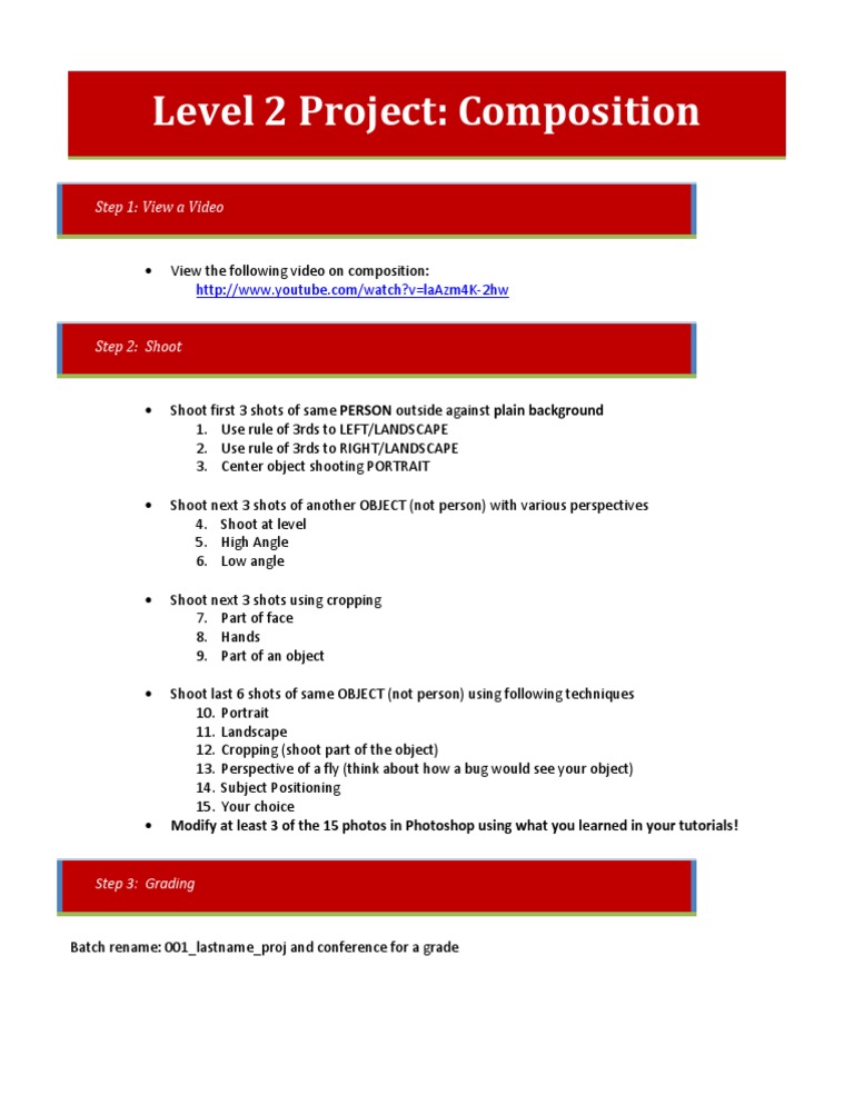 LV2 Proj Comp | PDF | Career & Growth | Computers