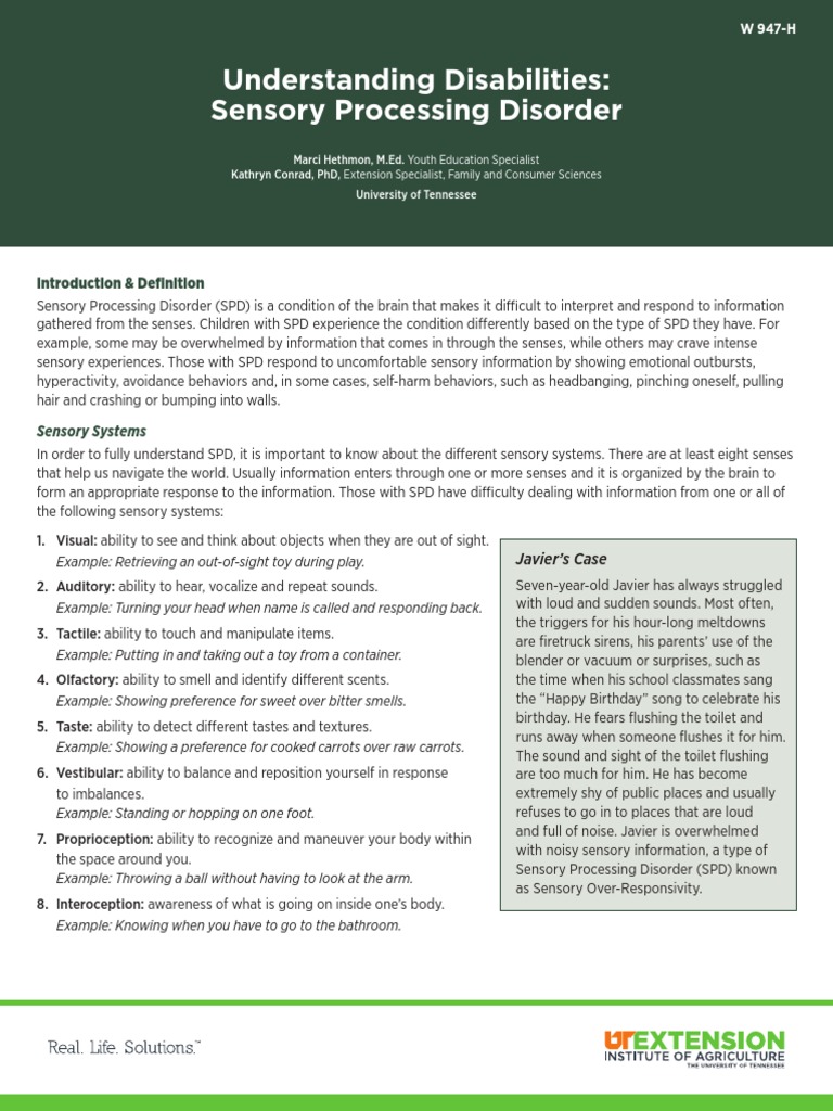 Understanding Disabilities: Sensory Processing Disorder: Introduction ...