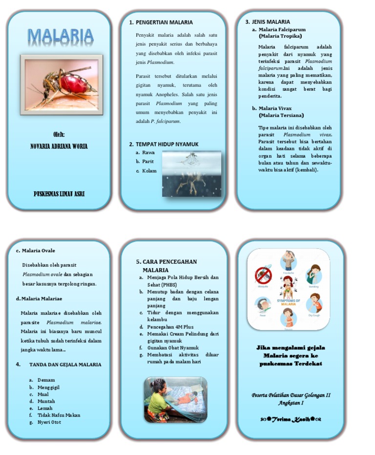 Leaflet Malaria | PDF