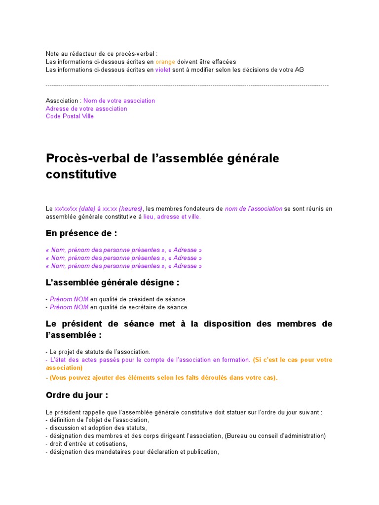 Proces Verbal Assemblee Generale Constitutive | PDF | Gouvernement