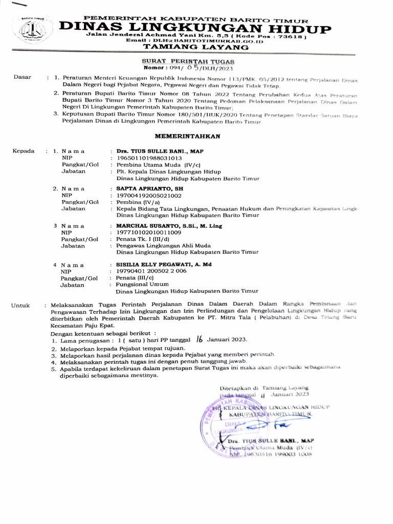 Surat Tugas BLHD | PDF