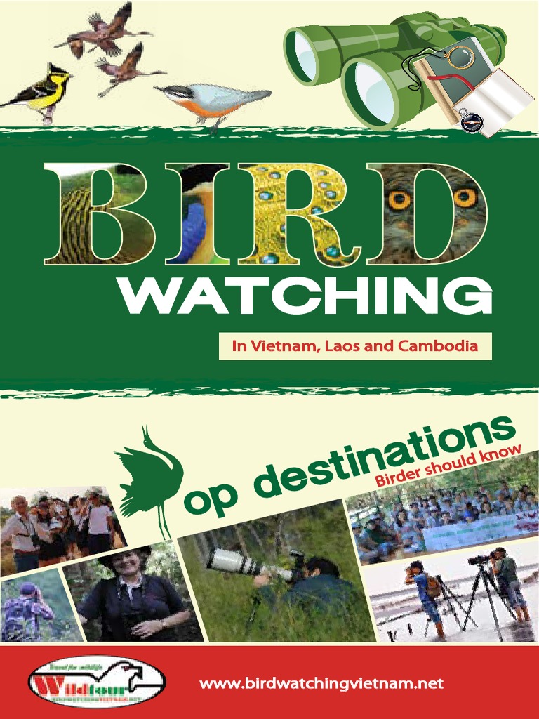 Birdwatching Destinations in Vietnam | PDF | Vietnam | Birds Of Asia